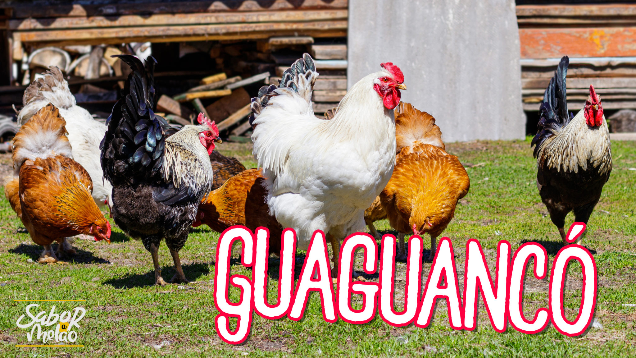 Guaguancó - Saboramelao