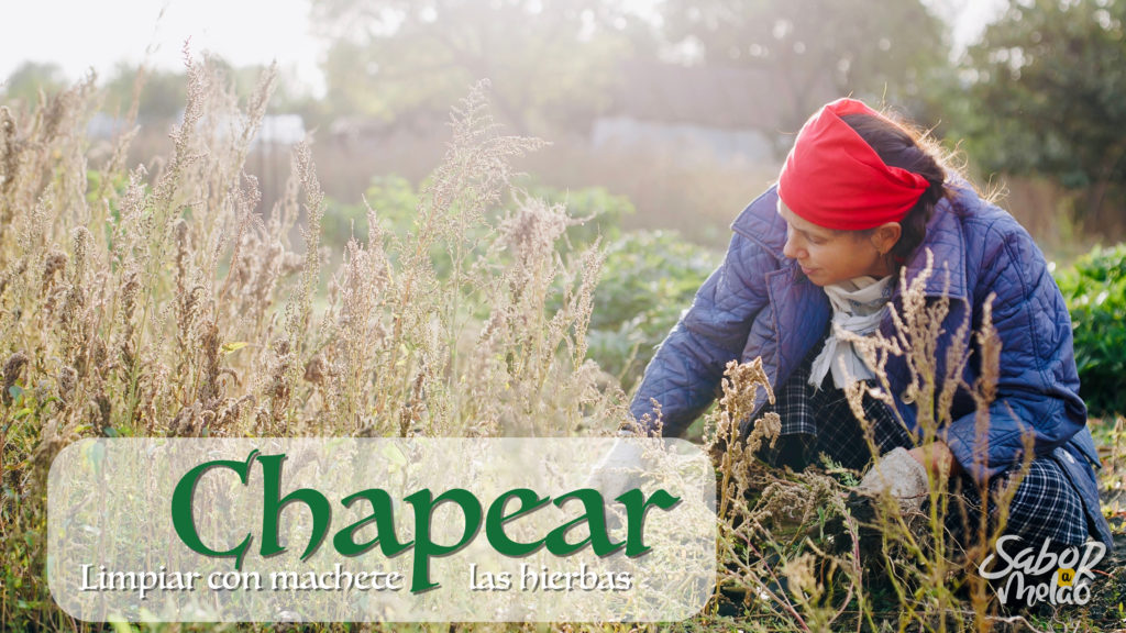 Chapear - Saboramelao Chapear - Saboramelao